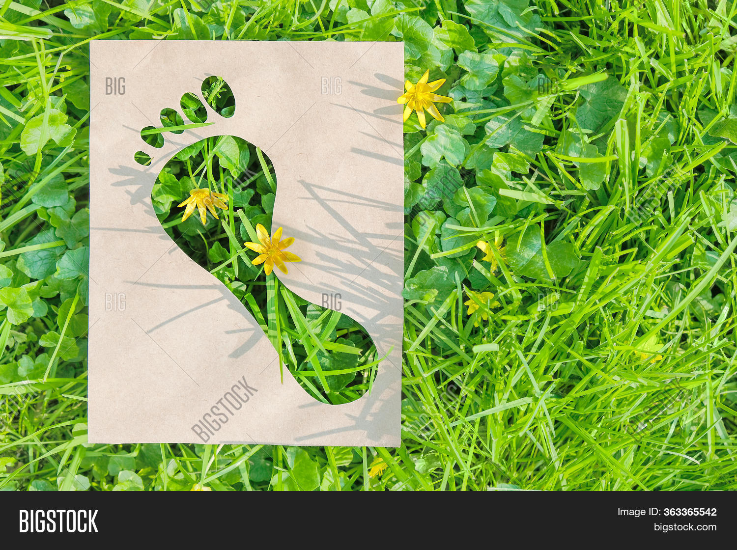 Human Impact On Nature Image & Photo (Free Trial) | Bigstock