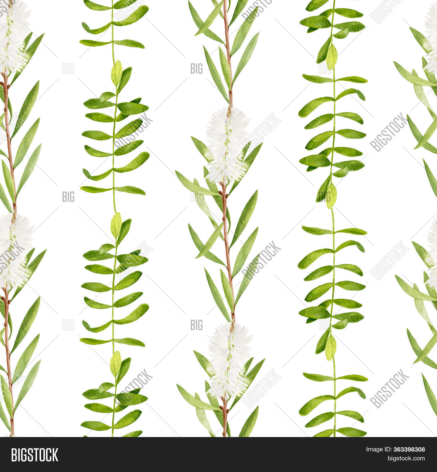 Watercolor Tea Tree Image & Photo (Free Trial) | Bigstock