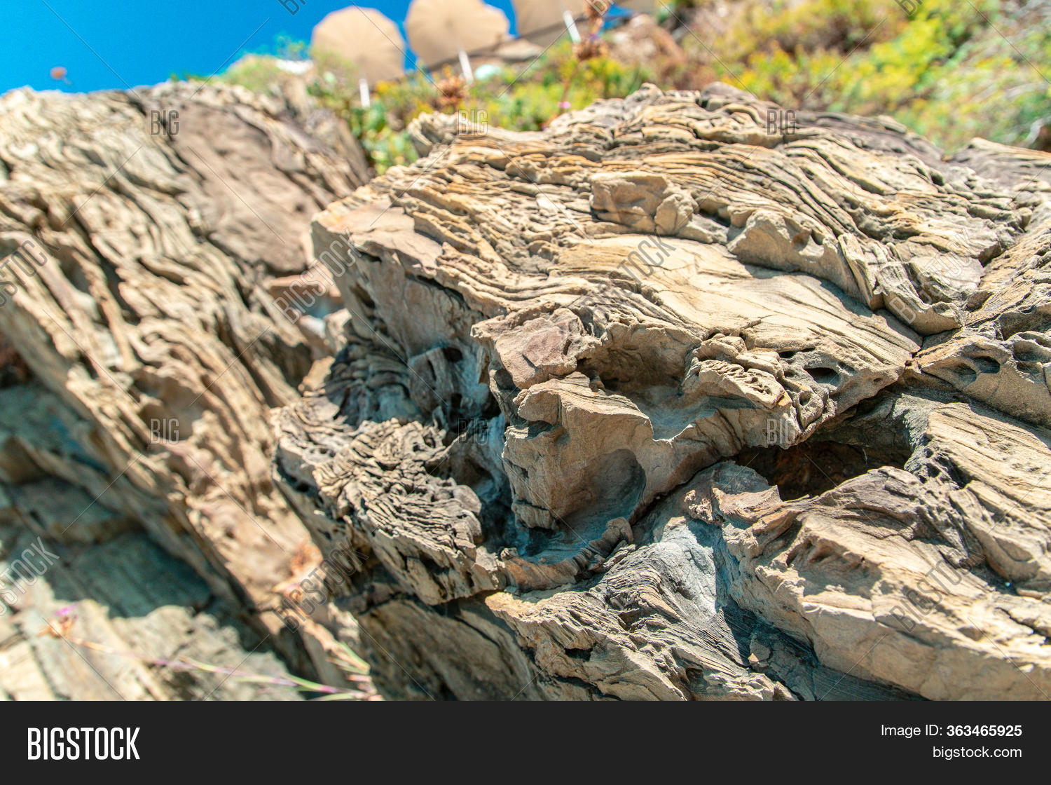Macro Rocks Wooden Image & Photo (Free Trial) | Bigstock