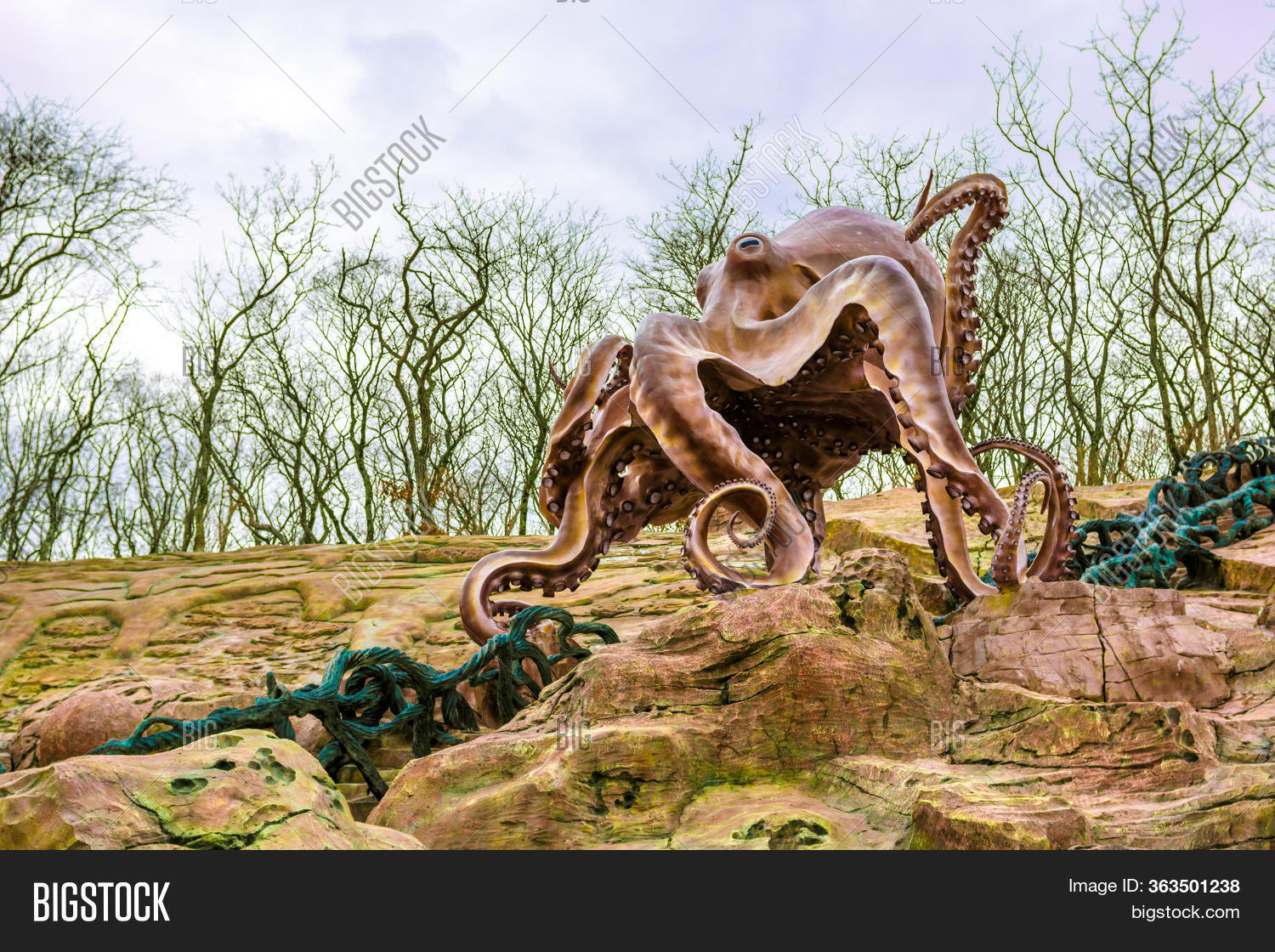 Aquarium On Russian Image & Photo (Free Trial) | Bigstock