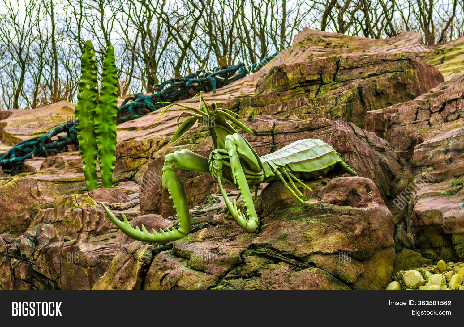 Aquarium On Russian Image & Photo (Free Trial) | Bigstock