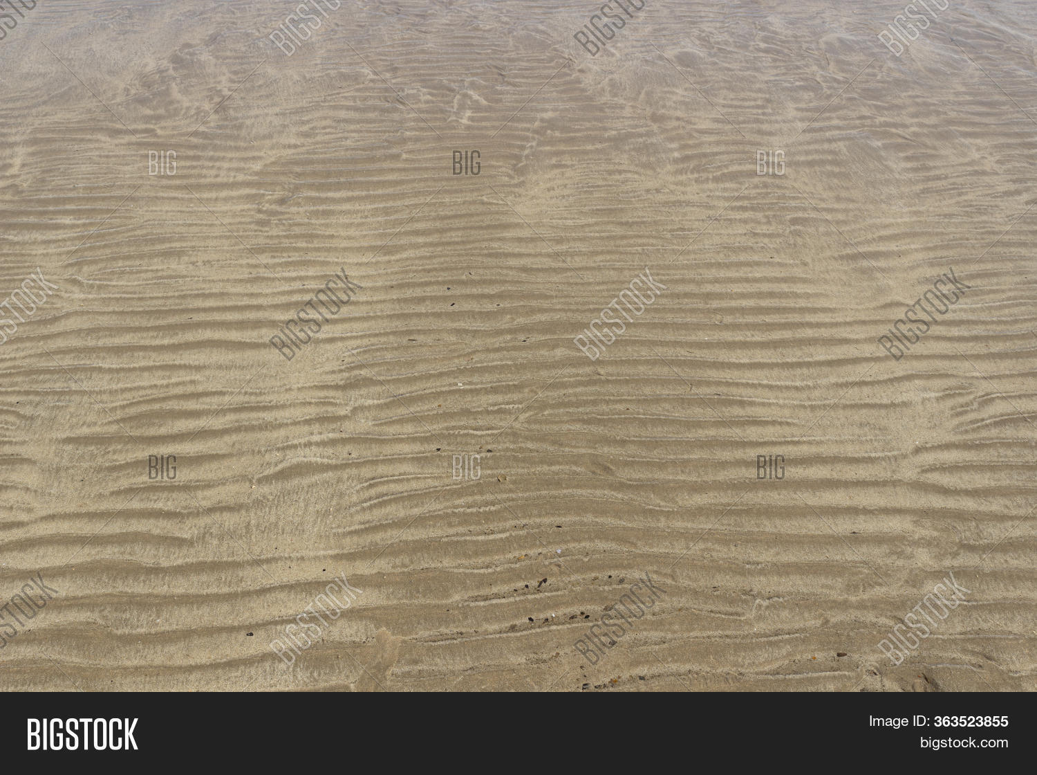 Wet Sand Pattern Image & Photo (Free Trial) | Bigstock