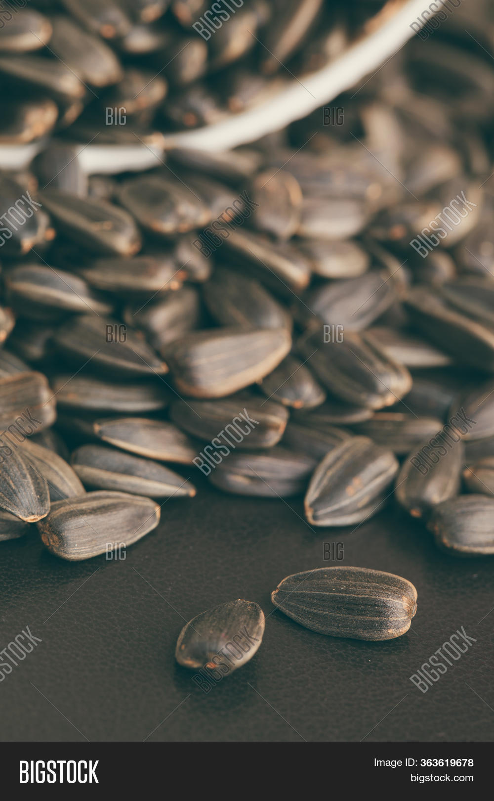 Pile Sunflower Seeds. Image & Photo (Free Trial) | Bigstock