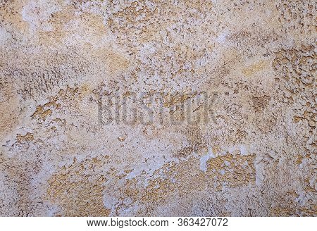 Natural Stone Shell Image & Photo (Free Trial) | Bigstock
