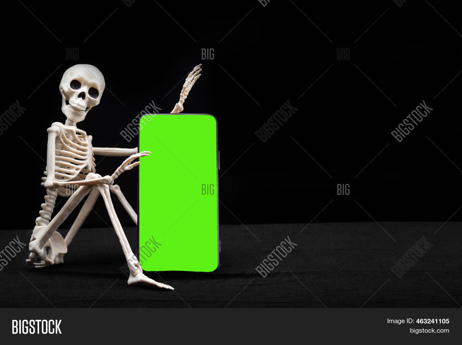 Seated Skeleton Image & Photo (Free Trial) | Bigstock