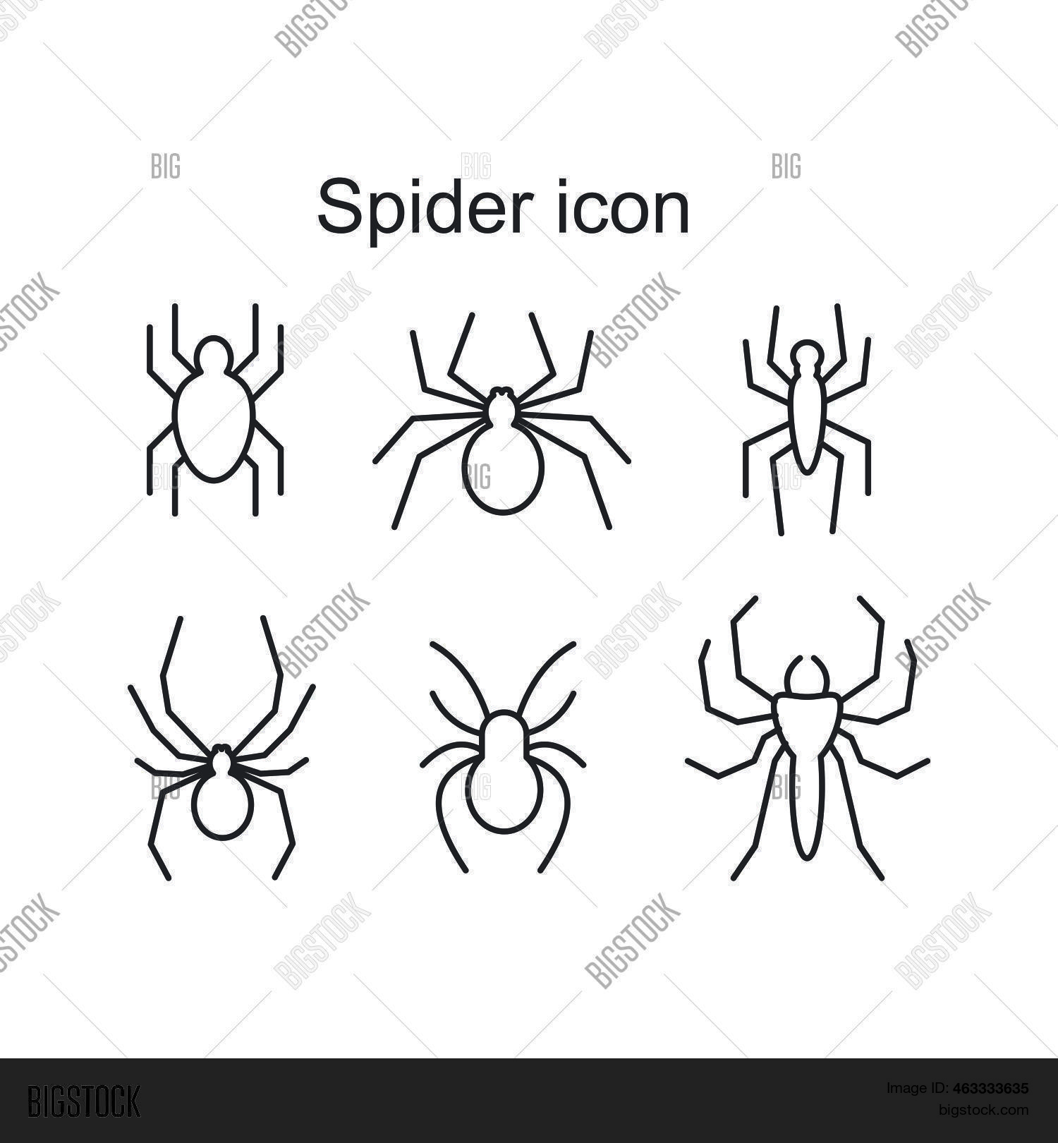 Spider Icon Template Vector & Photo (Free Trial) | Bigstock