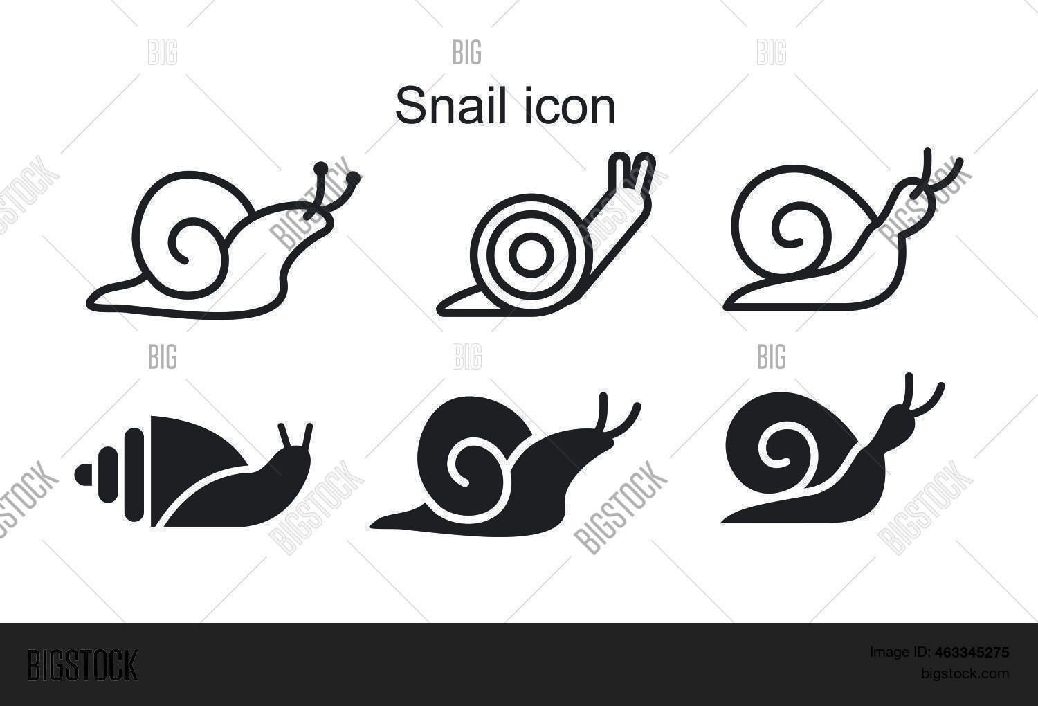 Snail Icon Template Vector & Photo (Free Trial) | Bigstock