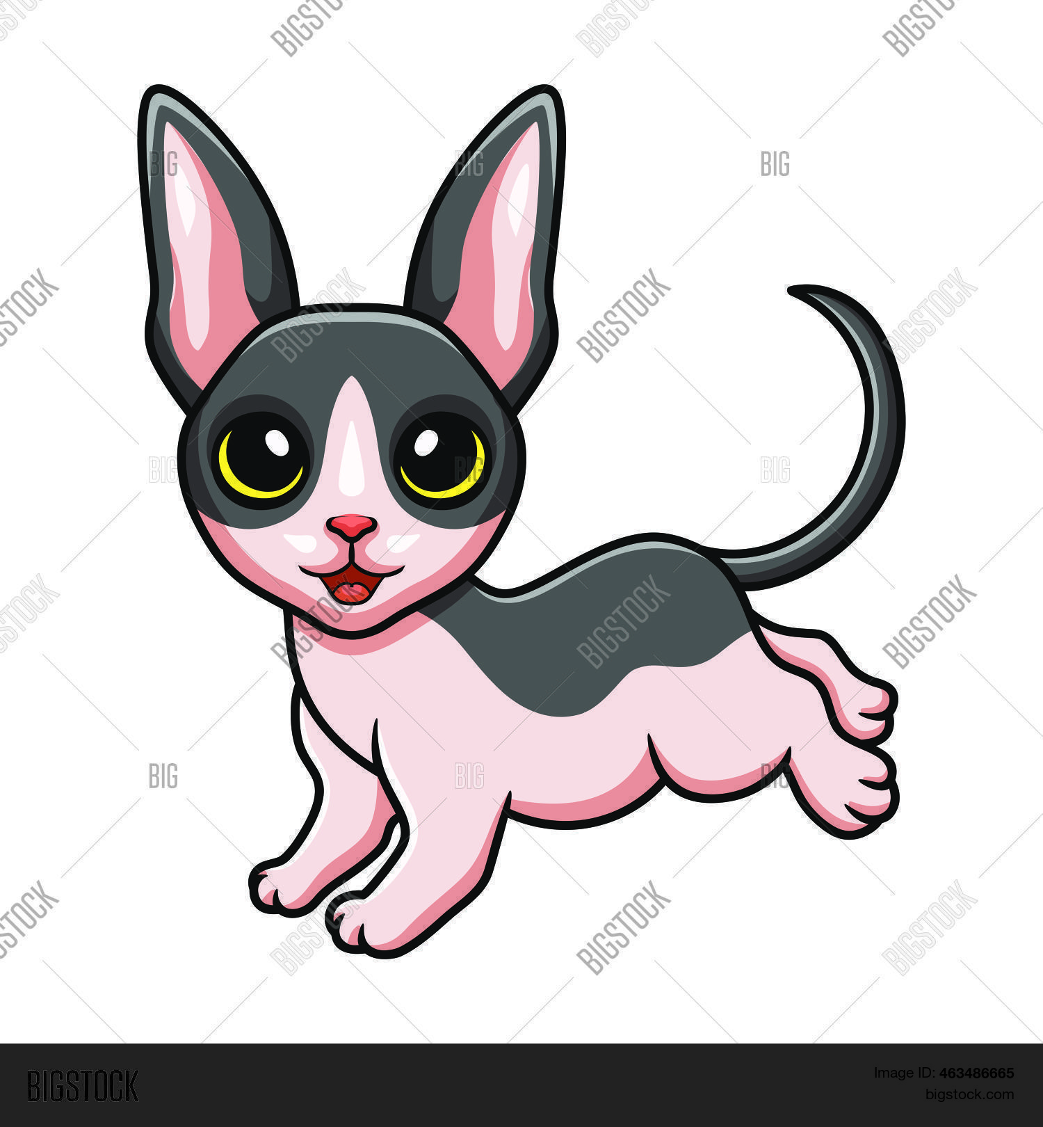 Vector y foto Vector Illustration (prueba gratis) | Bigstock