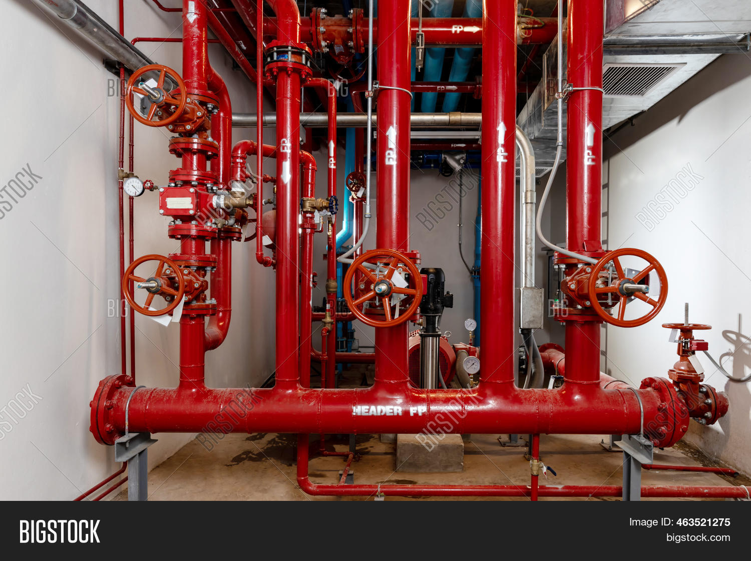 ภาพและภาพถ่าย (ทดลองใช้ฟรี) | Bigstock