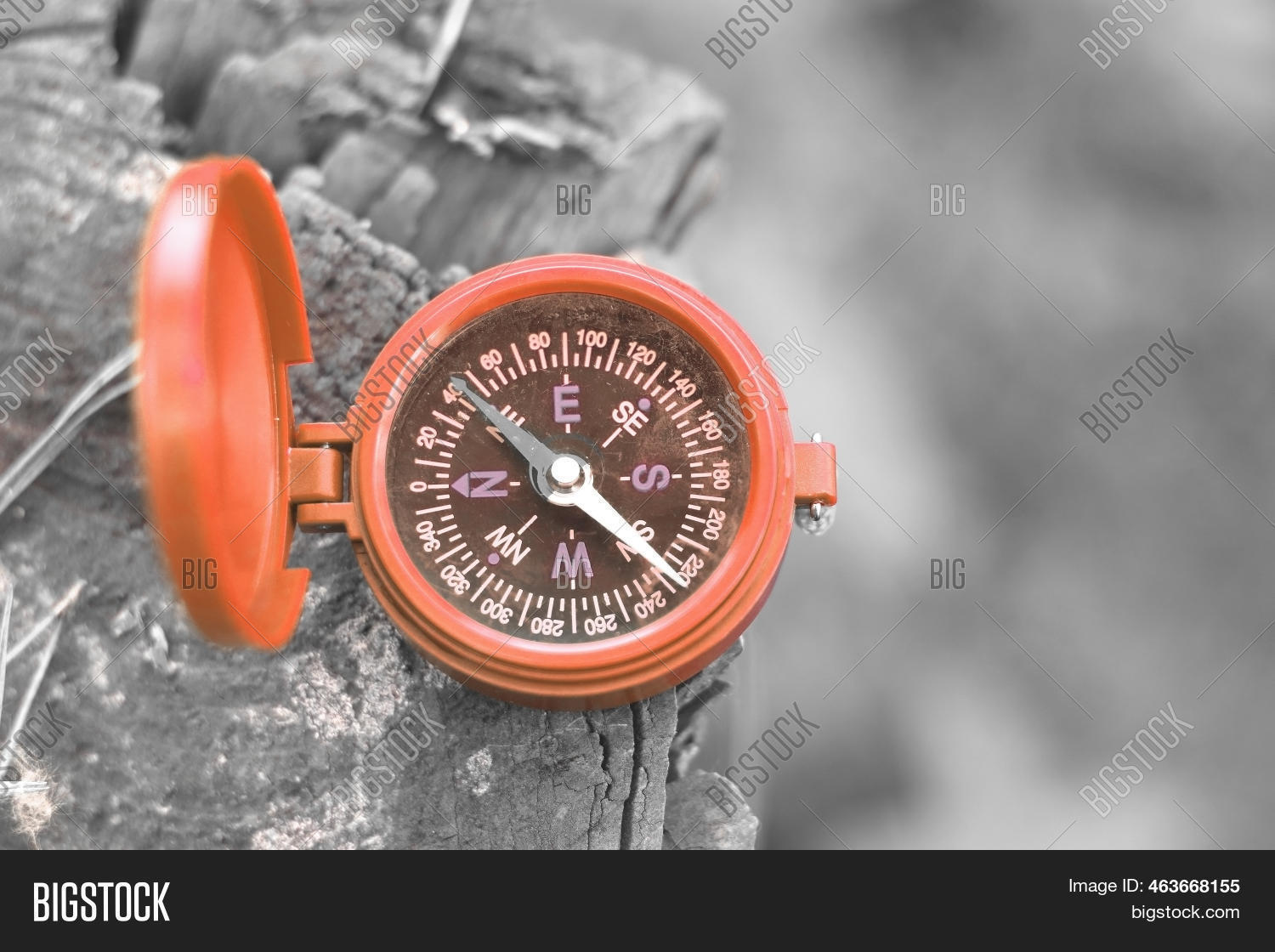 Round Compass On Image & Photo (Free Trial) | Bigstock