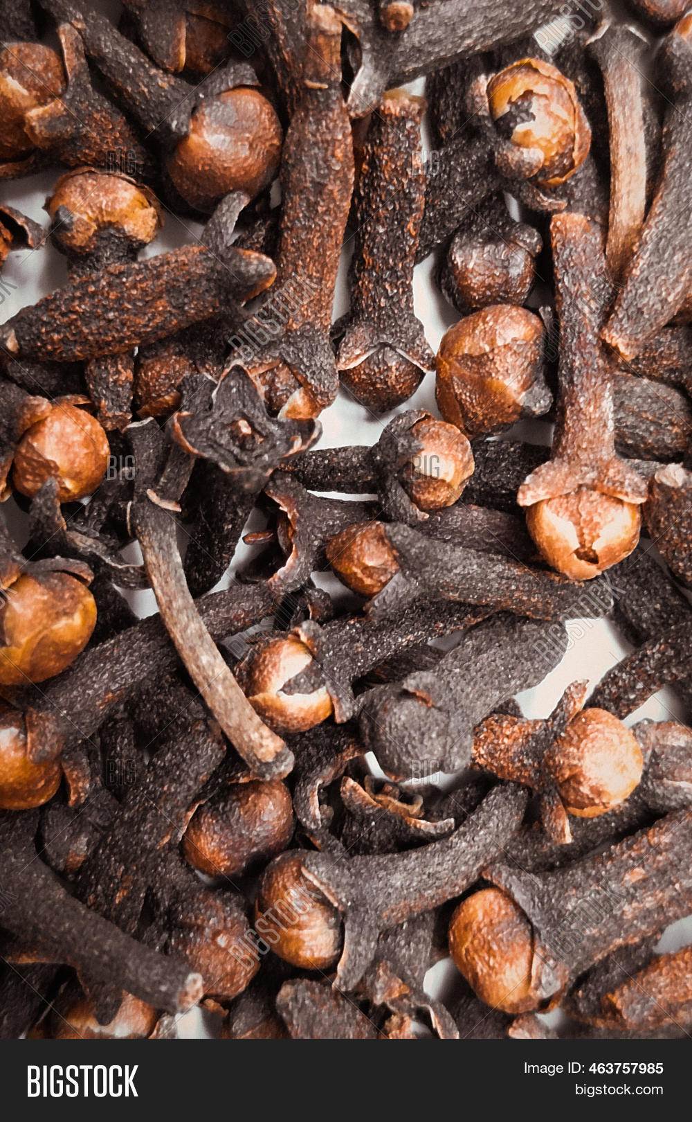 Clove Indian-cloves Image & Photo (Free Trial) | Bigstock