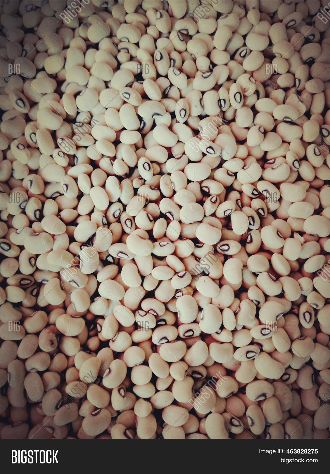 Black-eyed Pea Cowpea Image & Photo (Free Trial) | Bigstock