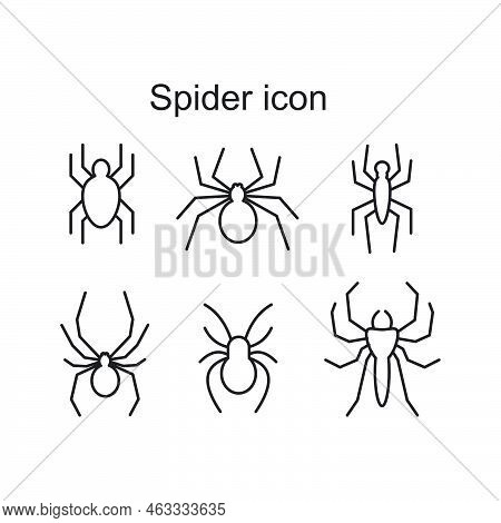 Spider Icon Template Vector & Photo (Free Trial) | Bigstock