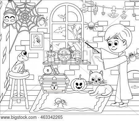 Wizard Conjuring Frog Vector & Photo (Free Trial) | Bigstock