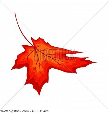 Fall Maple Leaf Vector & Photo (Free Trial) | Bigstock