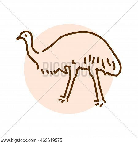 Australian Ostrich Vector & Photo (Free Trial) | Bigstock