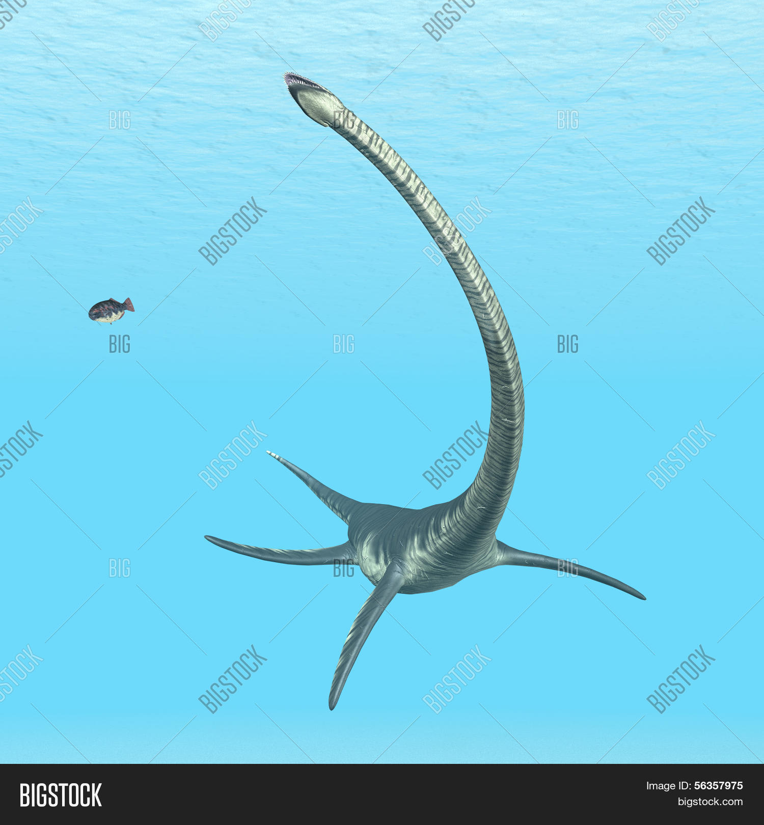 Plesiosaur Image & Photo (Free Trial) | Bigstock