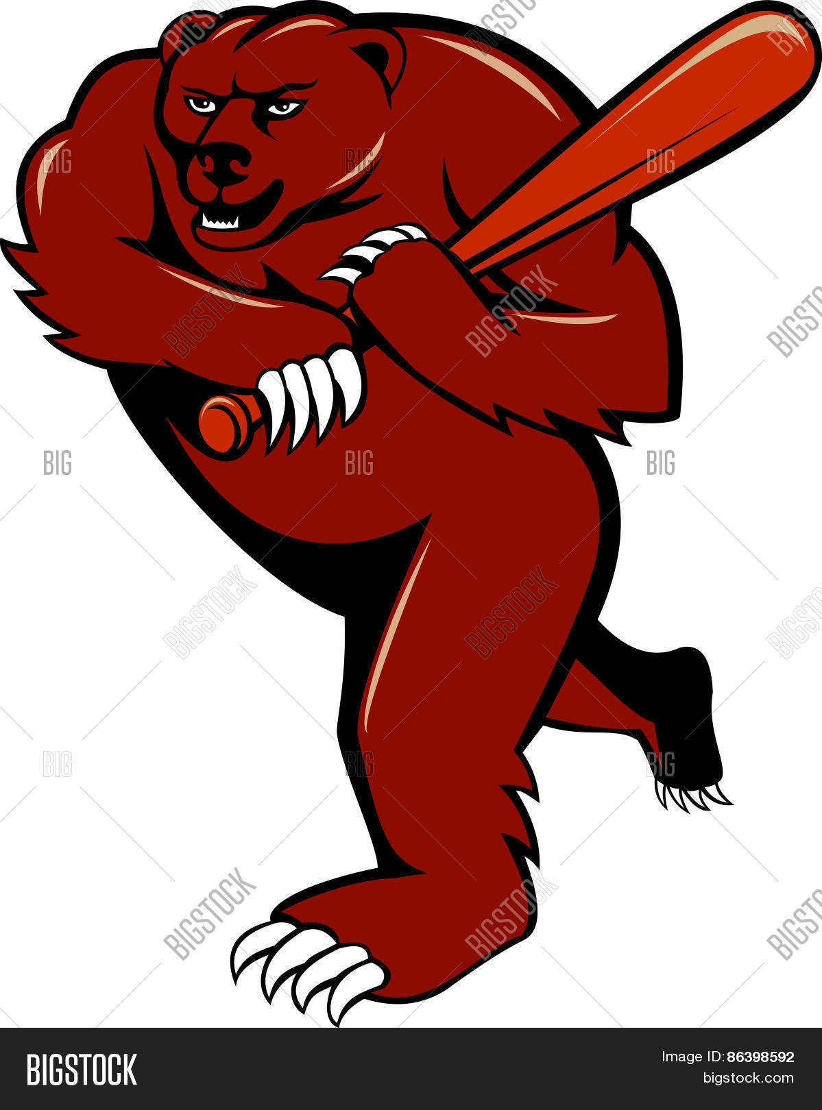 Grizzly Bear Baseball Vector & Photo (Free Trial) | Bigstock