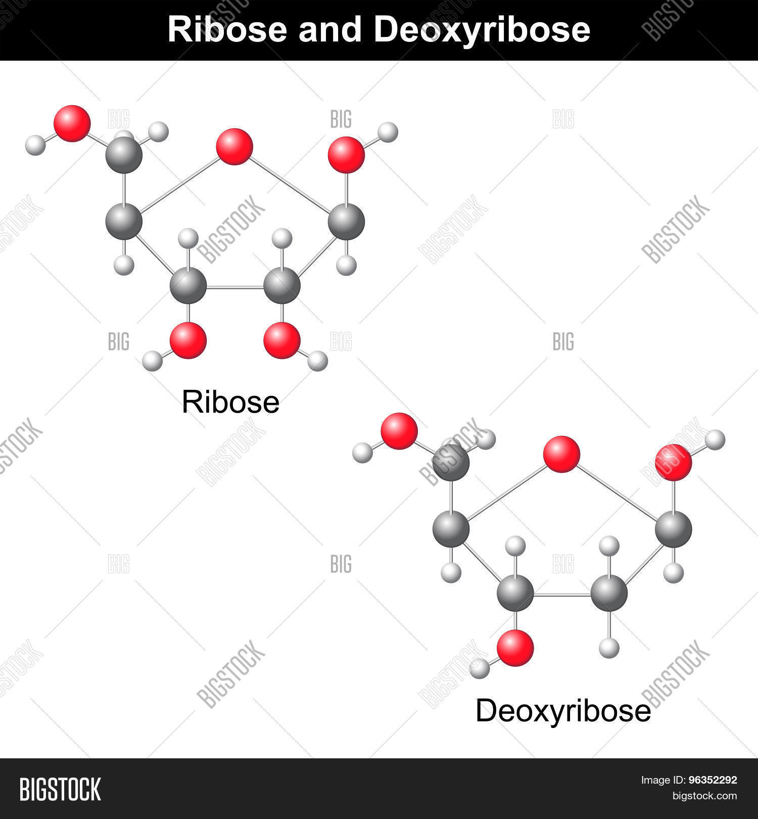 Deoxyribose Structure