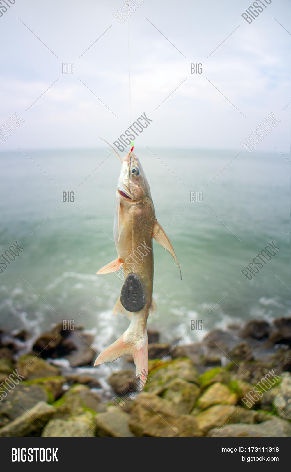 Fishing India 2. Image & Photo (Free Trial) | Bigstock