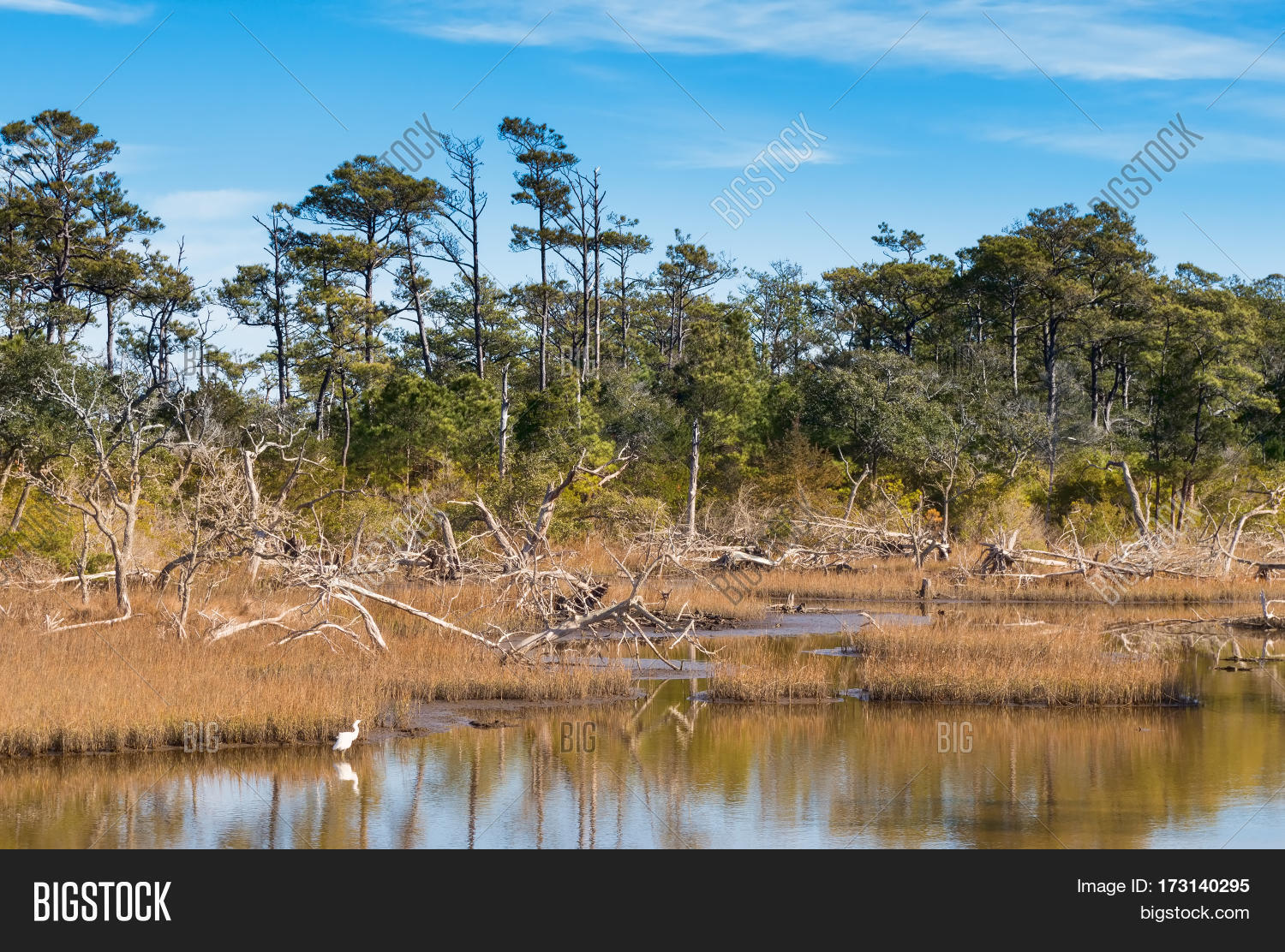 Overview Bogue Sound Image & Photo (Free Trial) | Bigstock