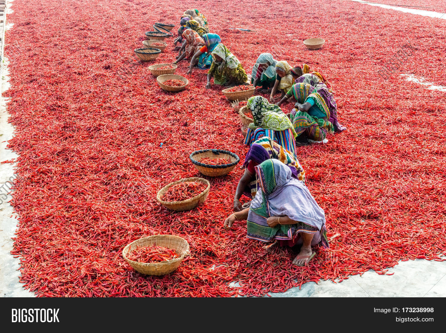 Bogra Bangladesh - Image & Photo (Free Trial) | Bigstock