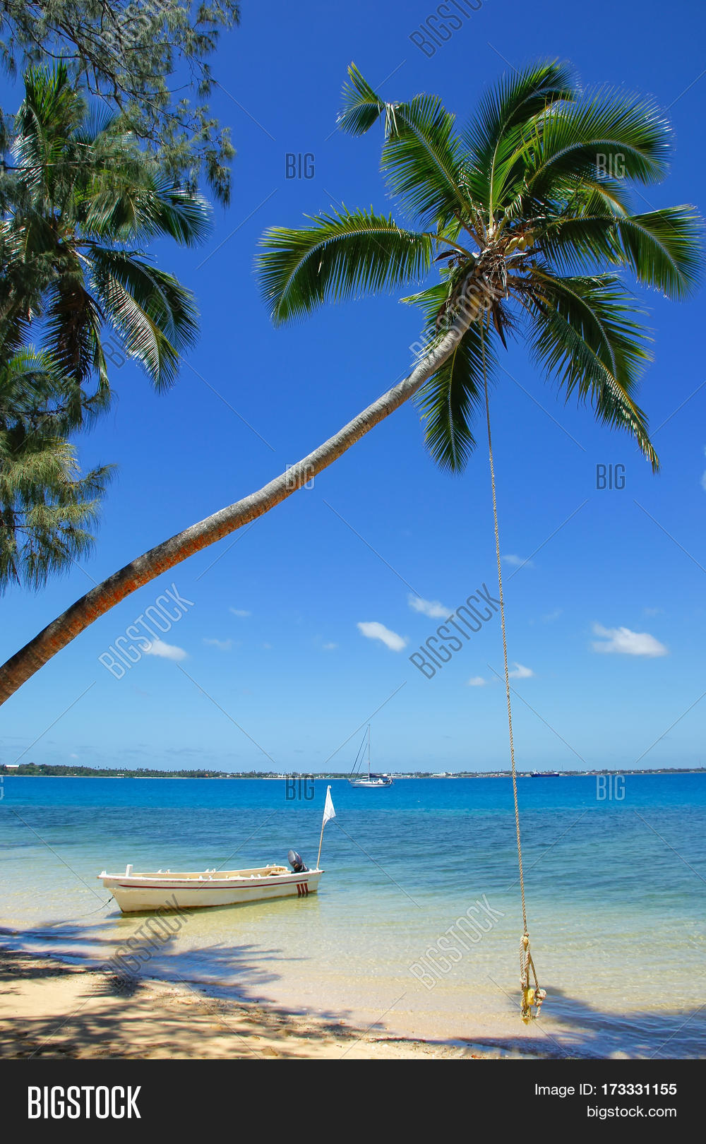 Leaning Palm Tree Rope Image & Photo (Free Trial) | Bigstock