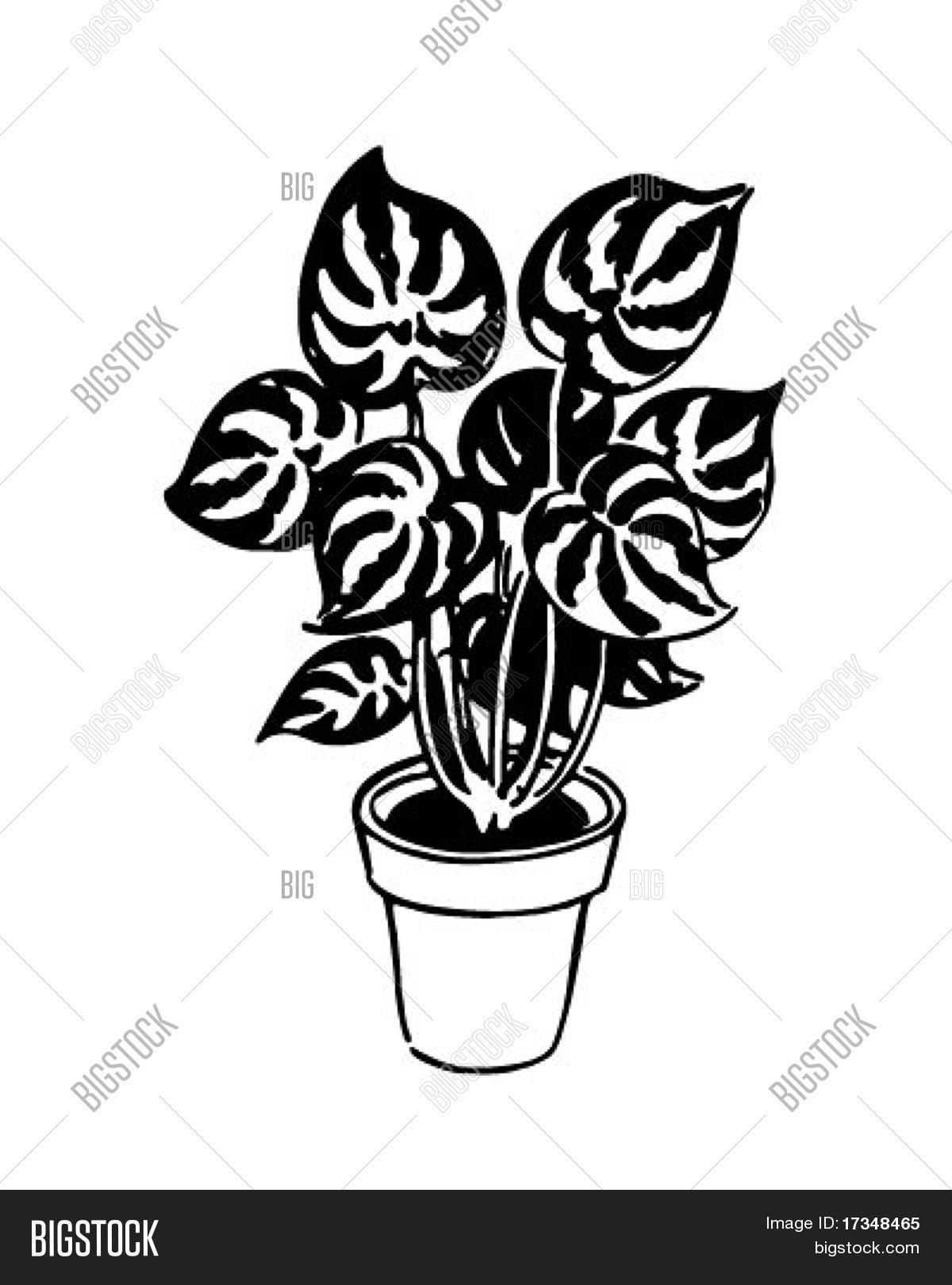 Plant 10 - Retro Vector & Photo (Free Trial) | Bigstock
