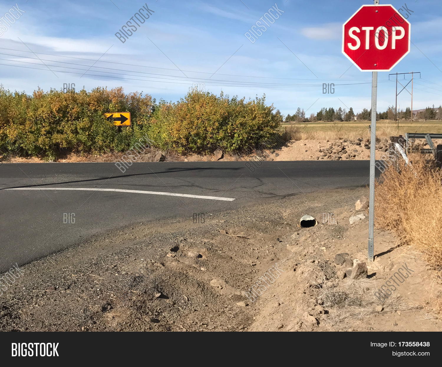 Stop Sign Front Image & Photo (Free Trial) | Bigstock