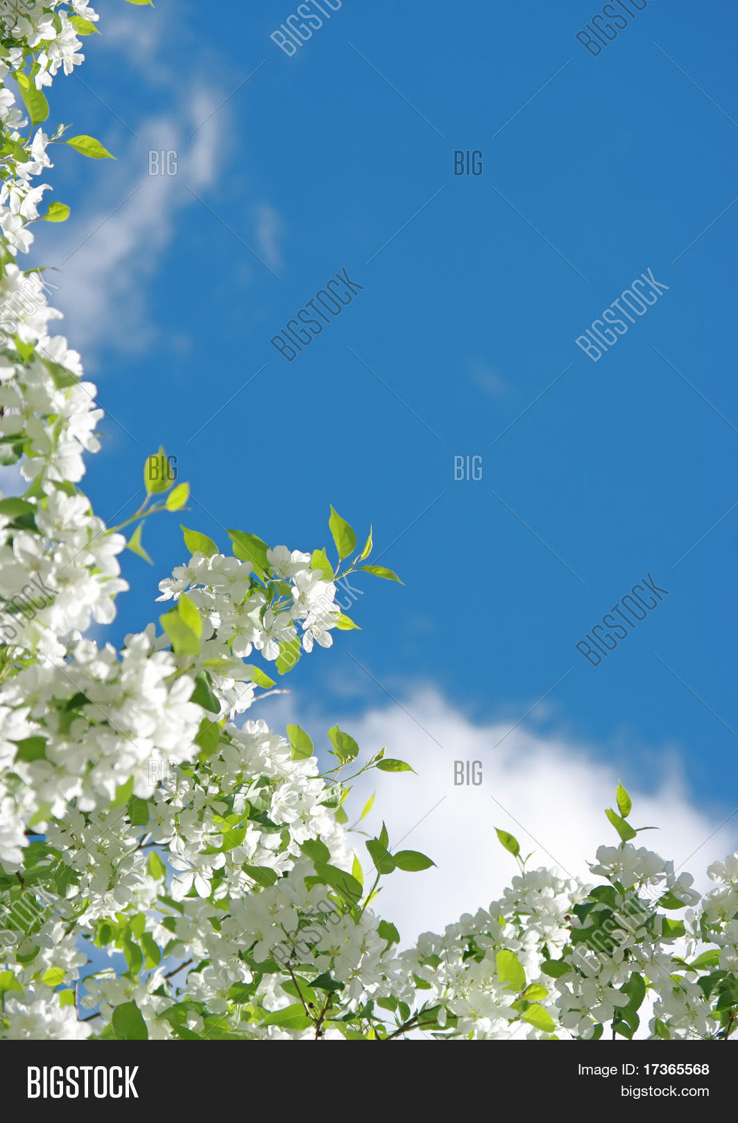 Frame Postcard May Image & Photo (Free Trial) | Bigstock