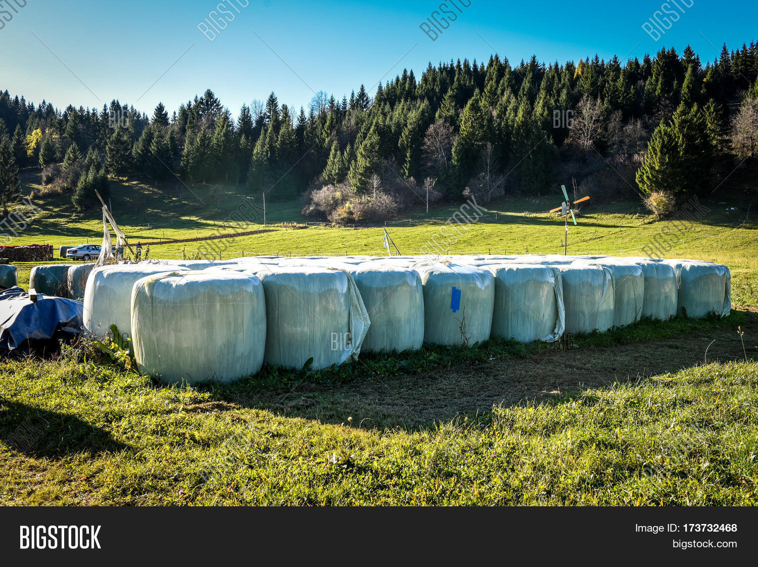 Stack Pile Hay Bale Image & Photo (Free Trial) | Bigstock
