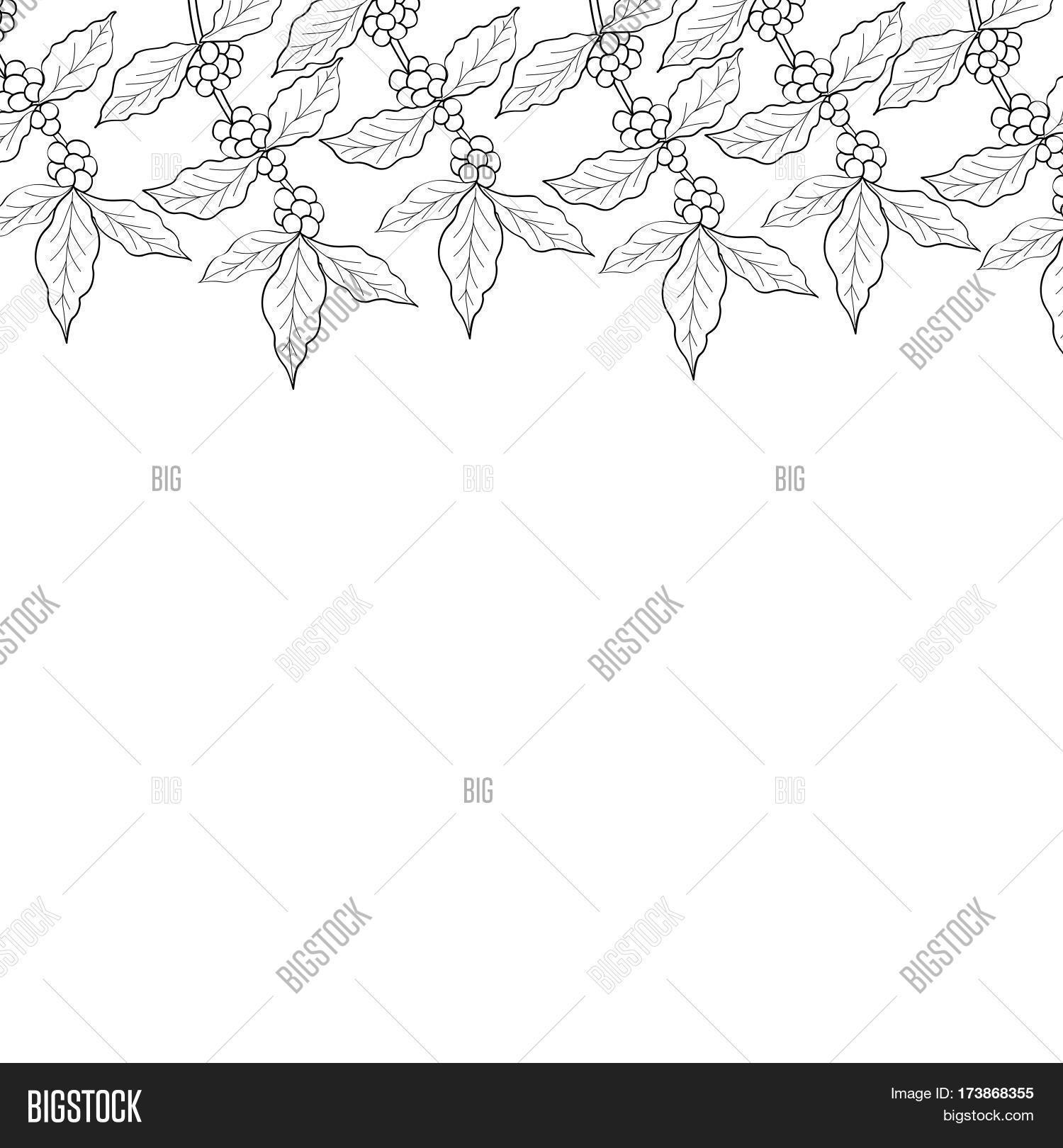 Organic Coffee Leaf Vector & Photo (Free Trial) | Bigstock