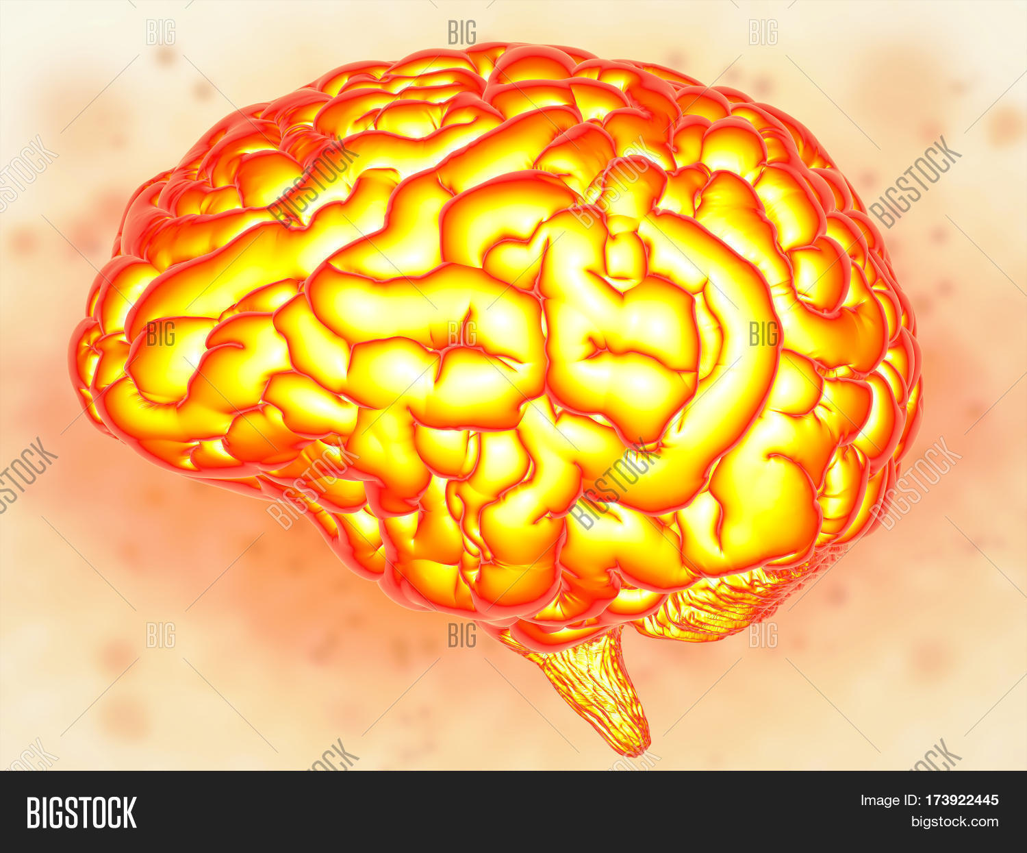 Brain Power Concept Image & Photo (Free Trial) | Bigstock