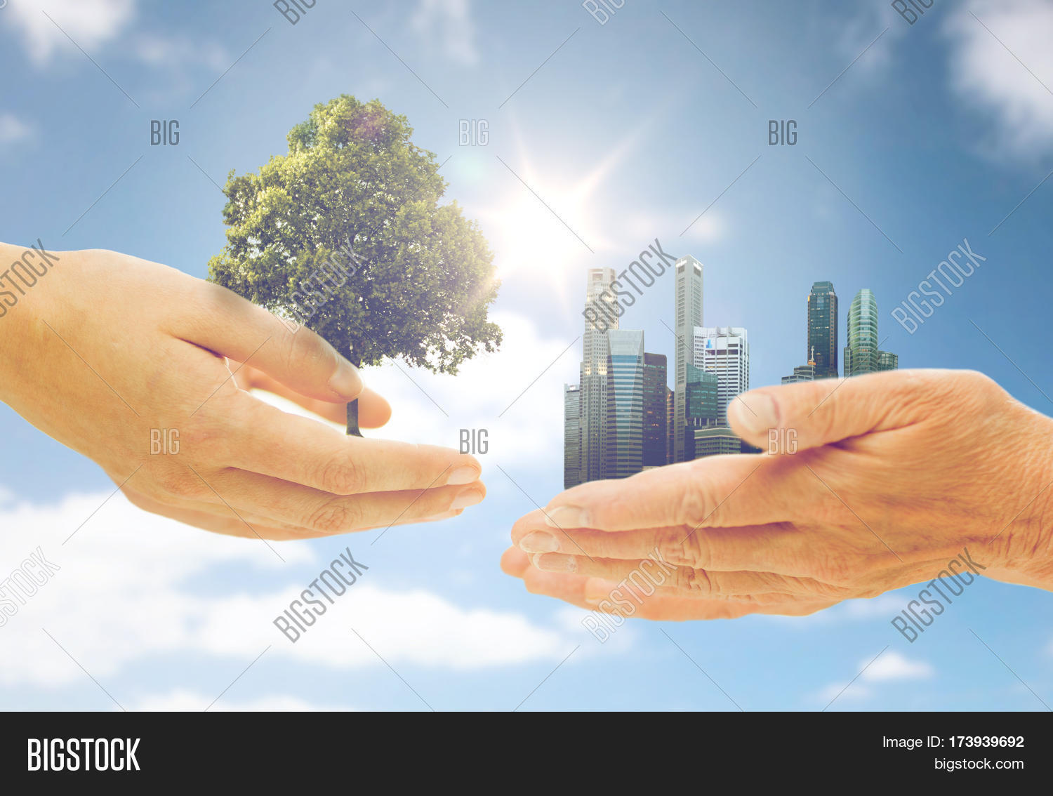 Nature, Conservation, Image & Photo (Free Trial) | Bigstock