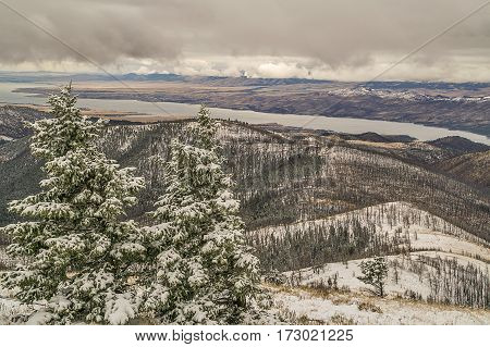 Two Evergreens Looking Image & Photo (Free Trial) | Bigstock