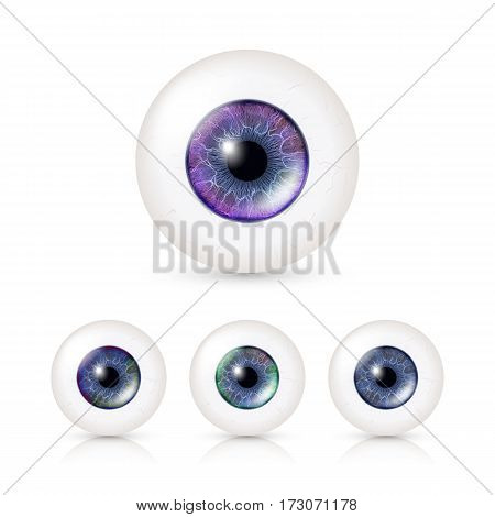 Human Eyeballs Set Vector & Photo (Free Trial) | Bigstock
