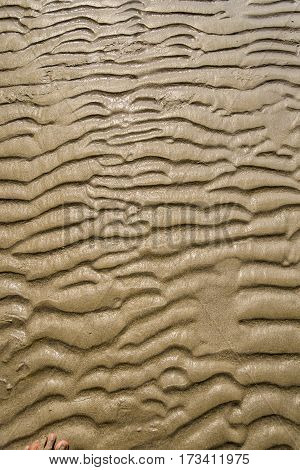 Texture Yellow Sand. Image & Photo (Free Trial) | Bigstock