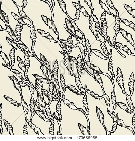 Seaweed On Beige Vector & Photo (Free Trial) | Bigstock