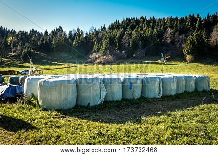 Stack Pile Hay Bale Image & Photo (Free Trial) | Bigstock