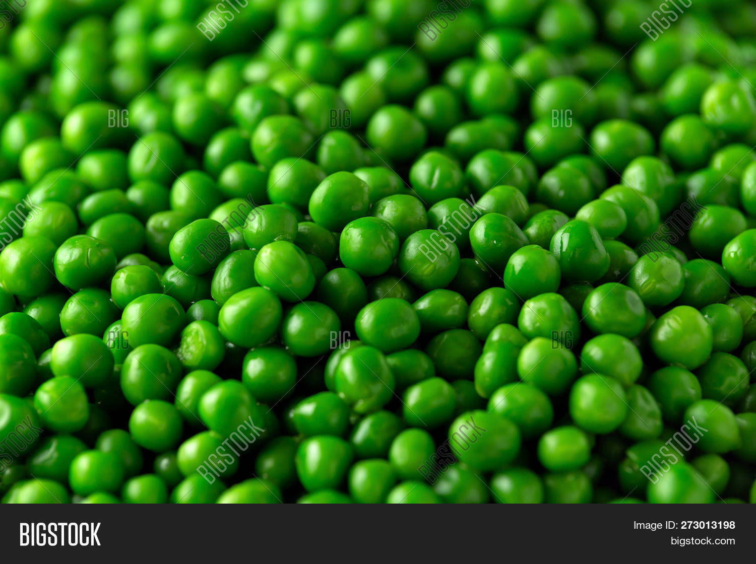 Green Peas Color Food Image & Photo (Free Trial) | Bigstock