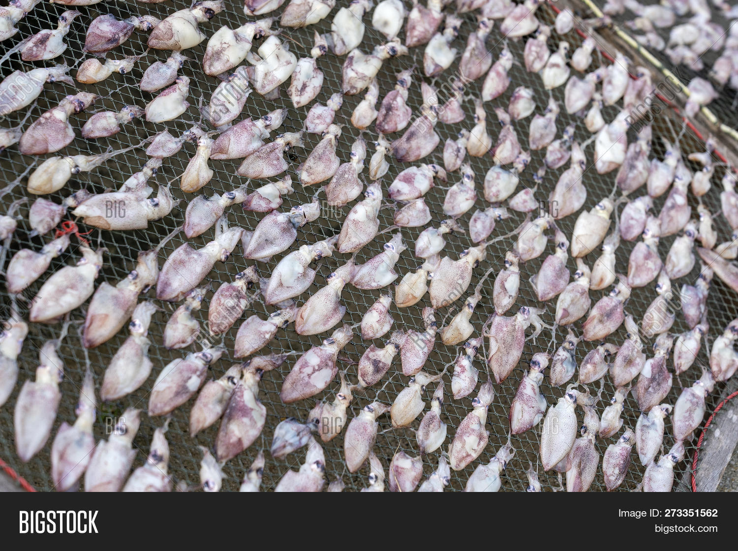 Squid Dried Food Image & Photo (Free Trial) | Bigstock