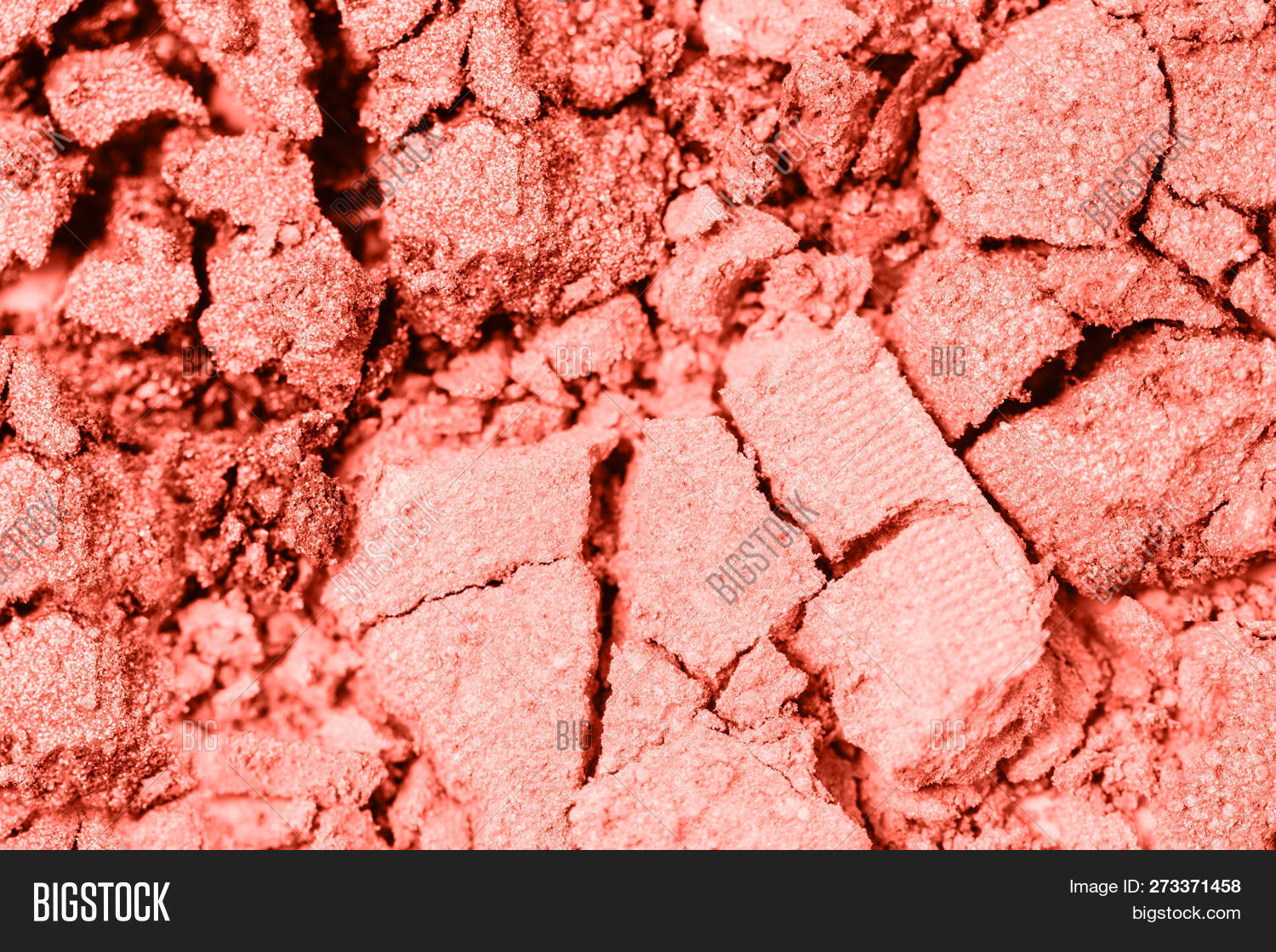 Living Coral Eye Image & Photo (Free Trial) | Bigstock