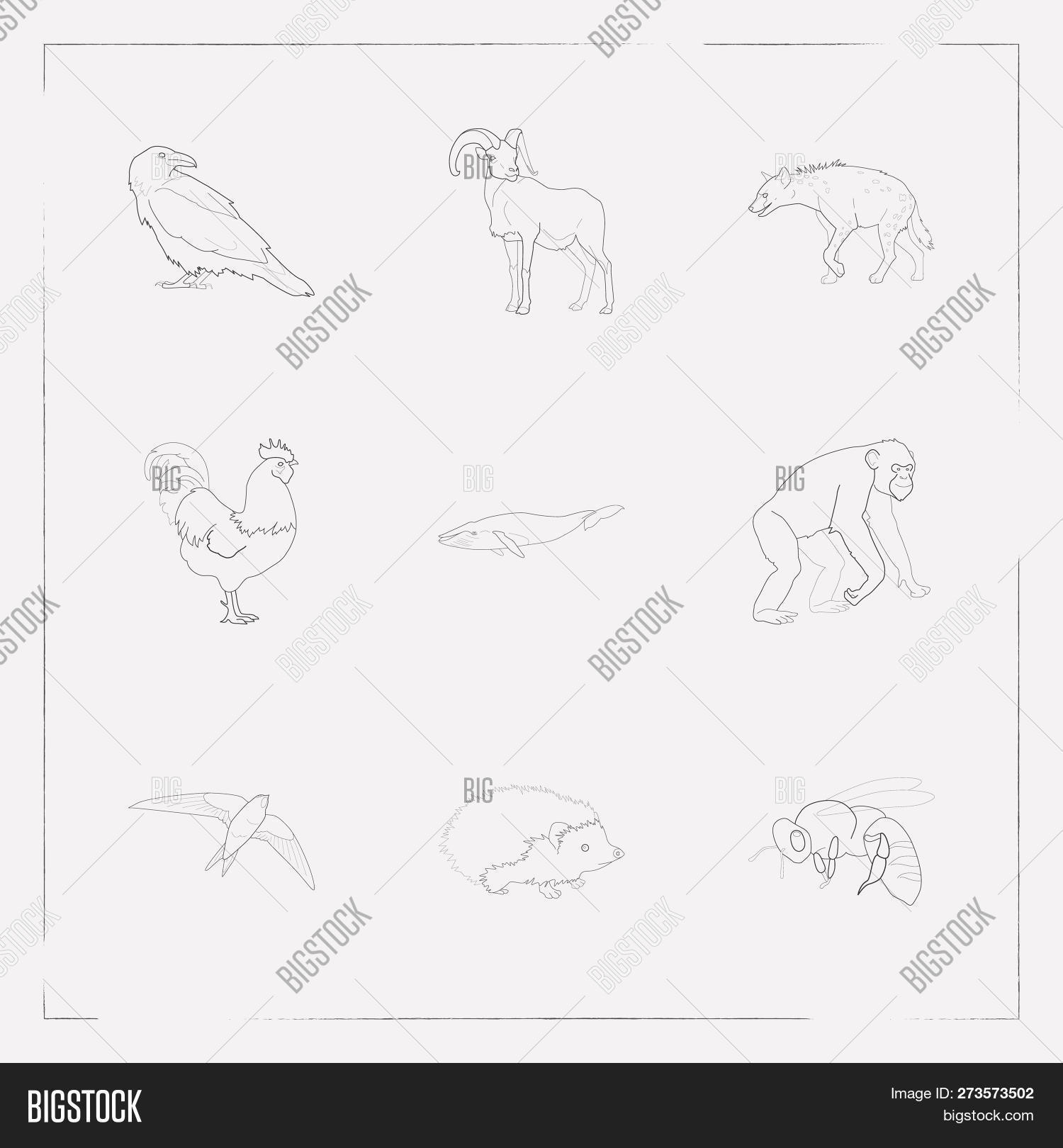 Set Alive Icons Line Image & Photo (Free Trial) | Bigstock
