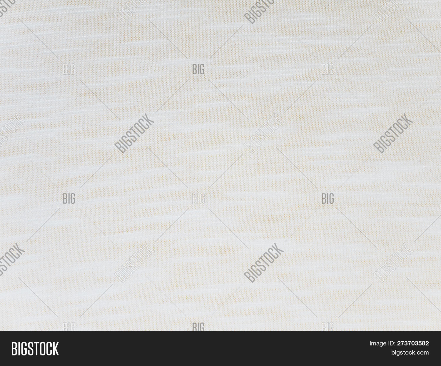 White Breezy T-shirt Image & Photo (Free Trial) | Bigstock