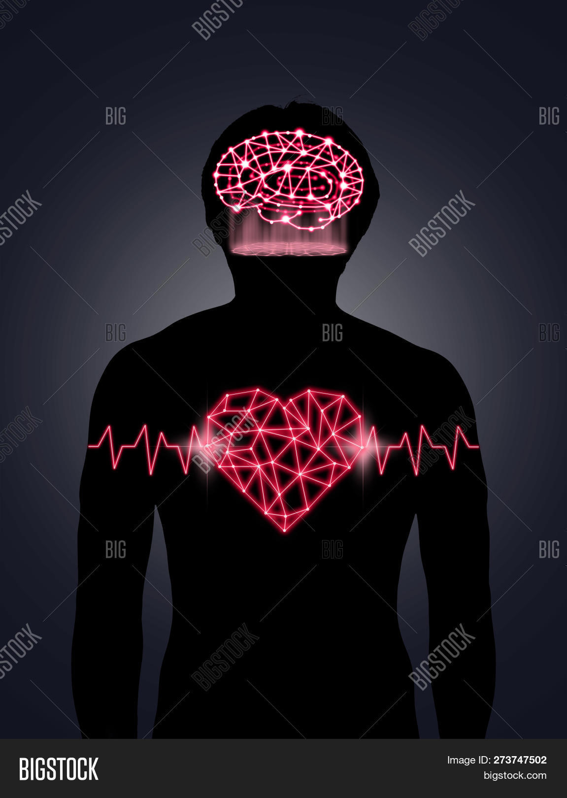 Silhouette Human Body Image & Photo (Free Trial) | Bigstock