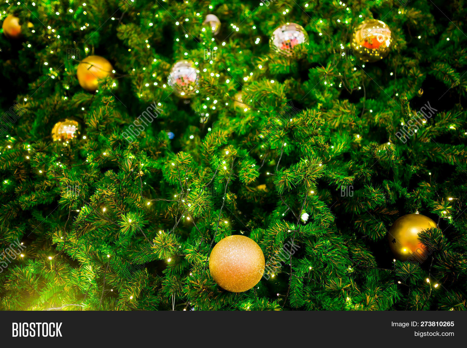 Shine Christmas Tree Image & Photo (Free Trial) | Bigstock