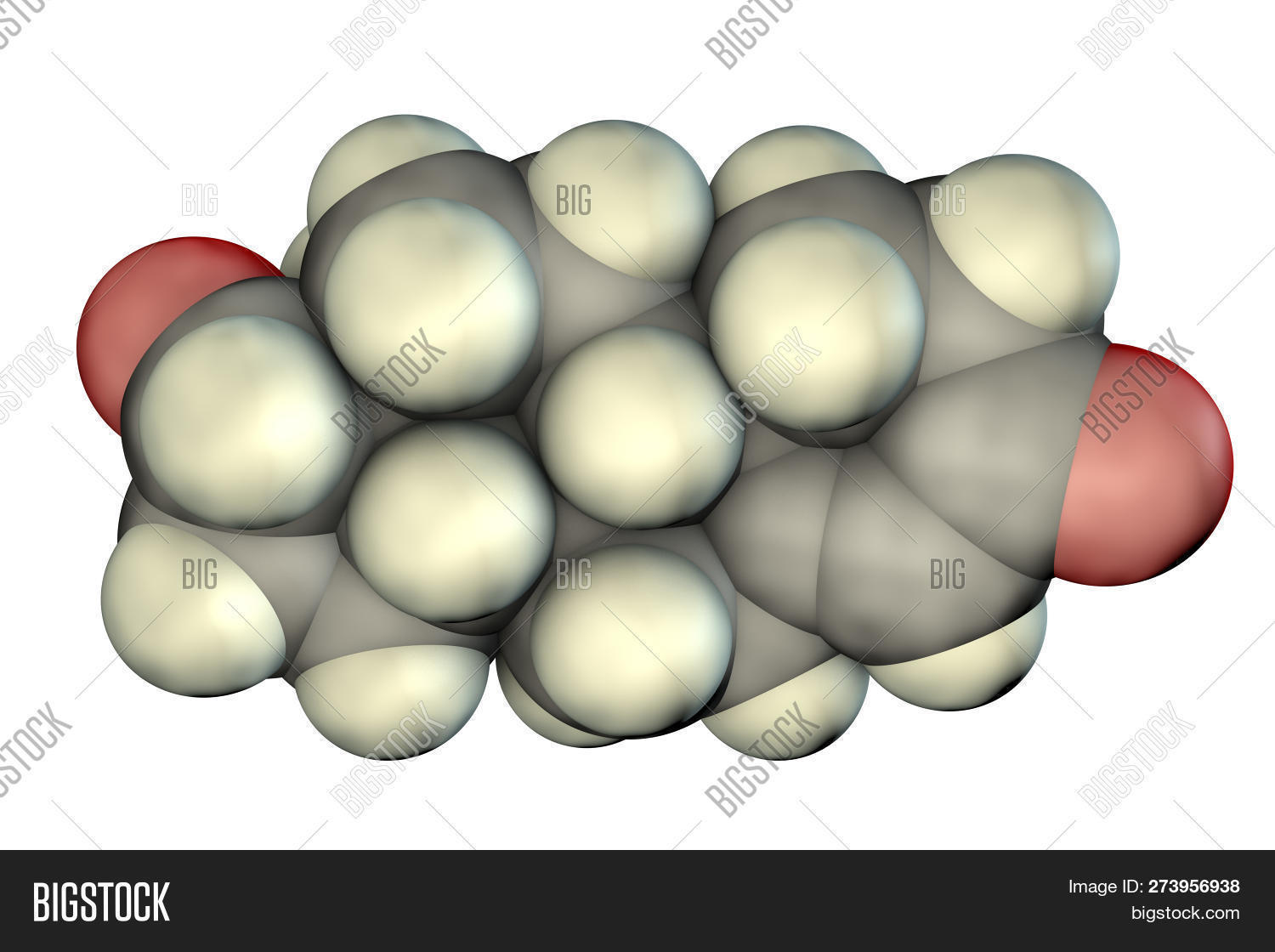 Testosterone, Primary Image & Photo (Free Trial) | Bigstock