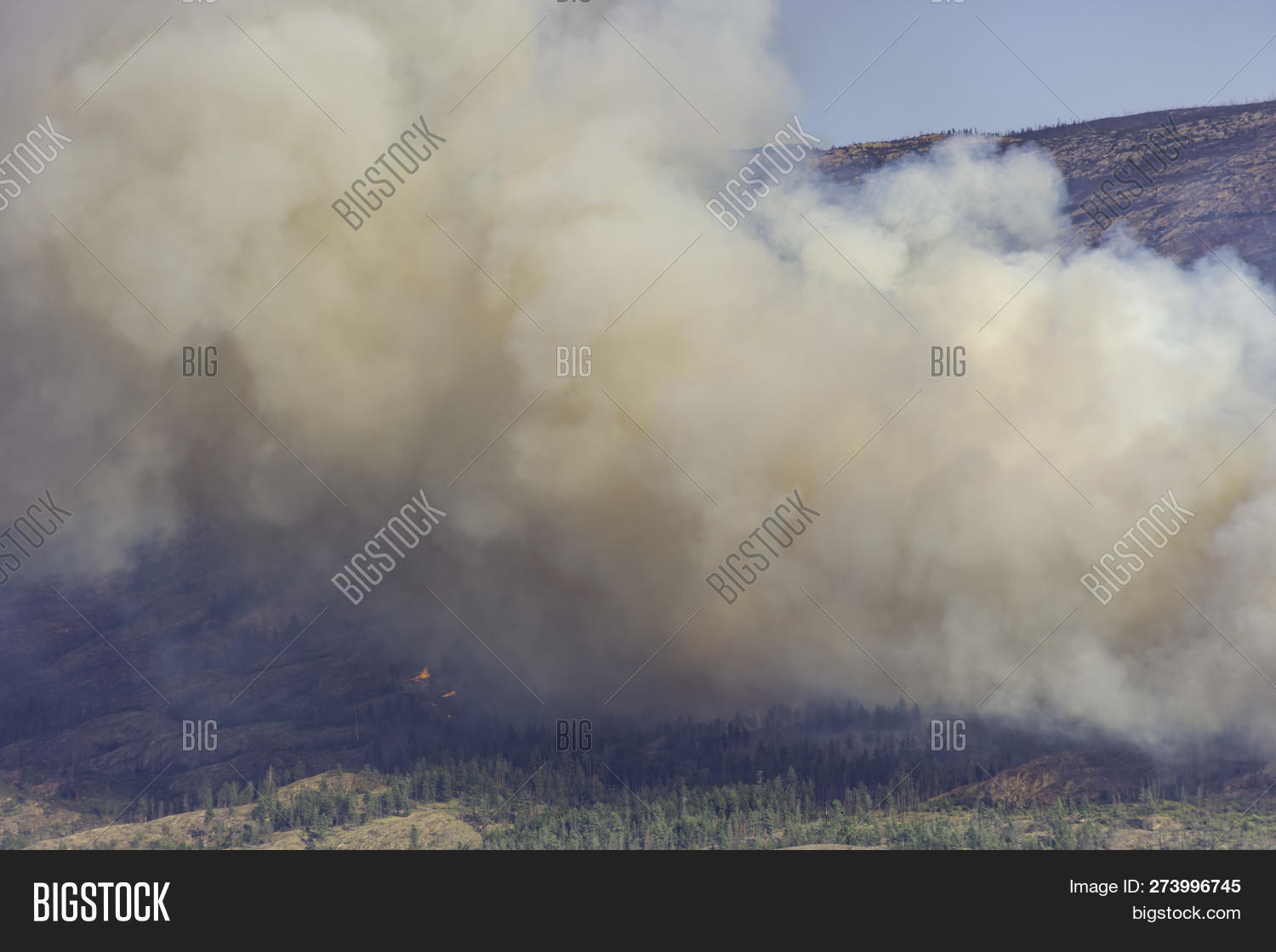 Smoke Forest Fire Near Image & Photo (Free Trial) | Bigstock