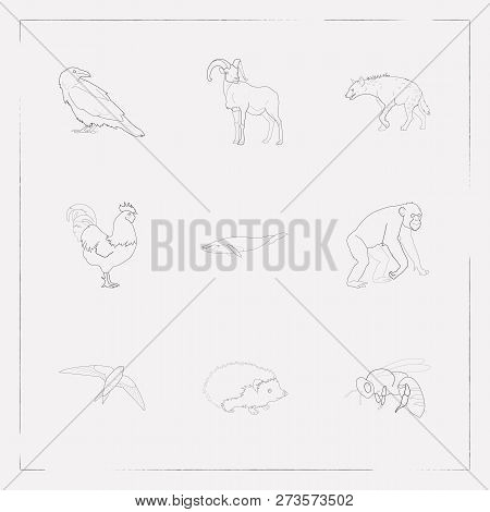 Set Alive Icons Line Image & Photo (Free Trial) | Bigstock