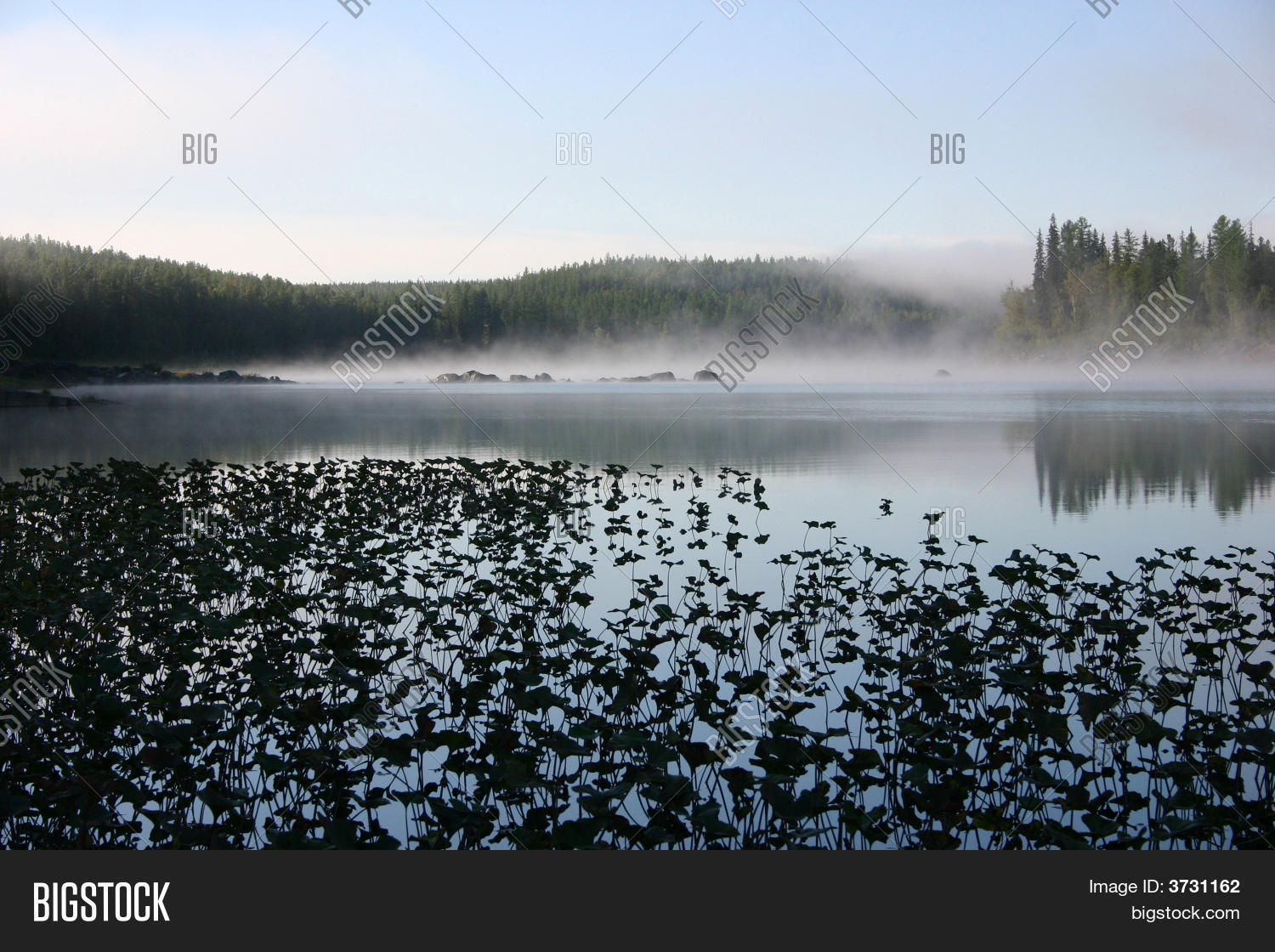 Morning River Mist Image & Photo (Free Trial) | Bigstock